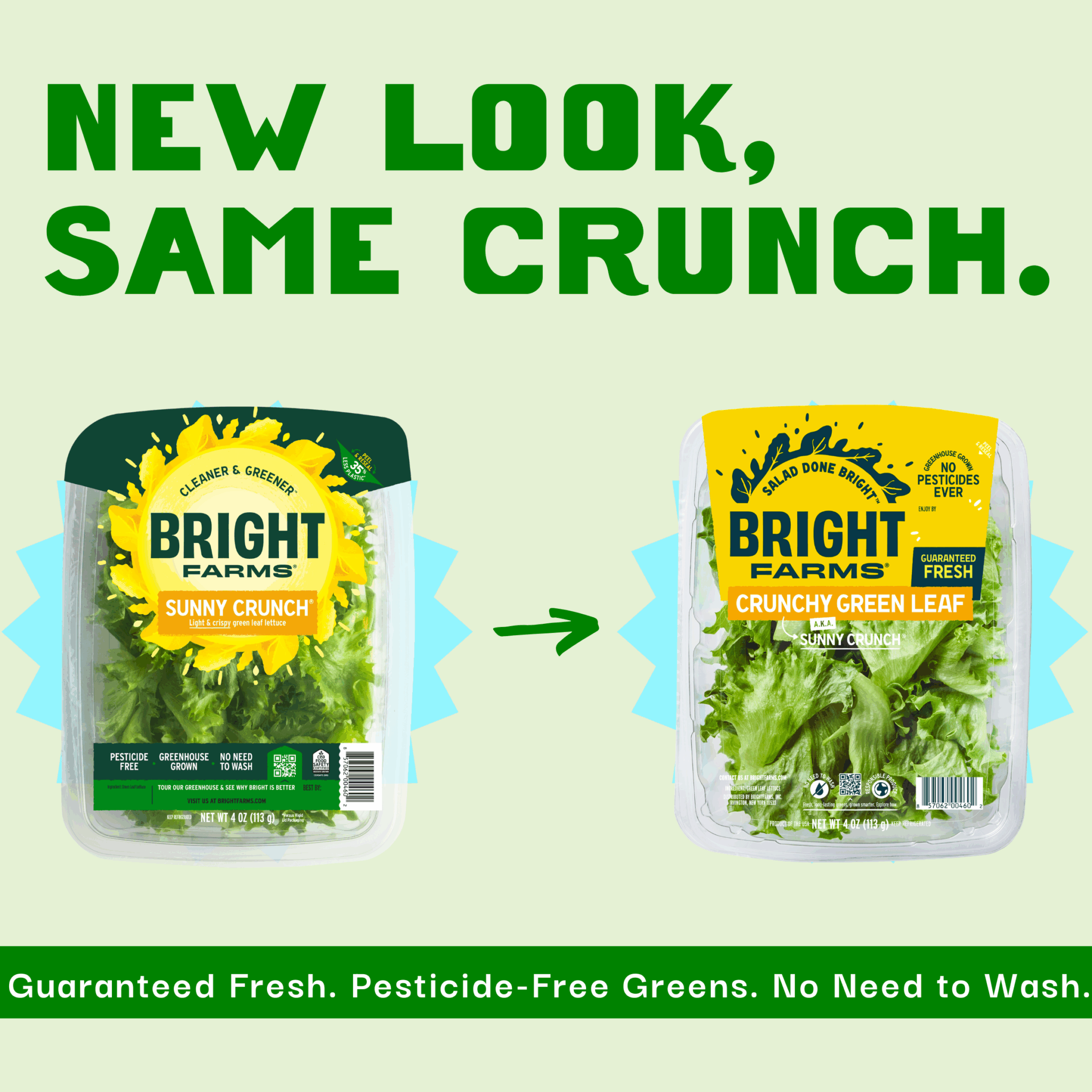 BrightFarms Unveils Bold New Look to Reflect the Vibrant Future of ...